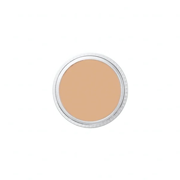 Ben Nye Color Cake Foundation Pancake Makeup | Saubhaya Makeup